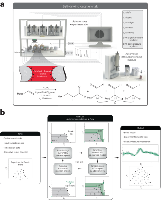 A self-driving lab for accelerated catalyst development | Nature Chemical Engineering
