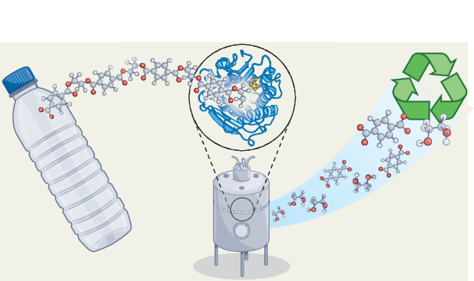 Process insights for harnessing biotechnology for plastic ...