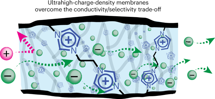 Fast and selective ion transport in ultrahigh-charge-density membranes ...