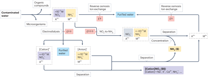 Practical prospects of electroreduction of dilute NOx streams to ...