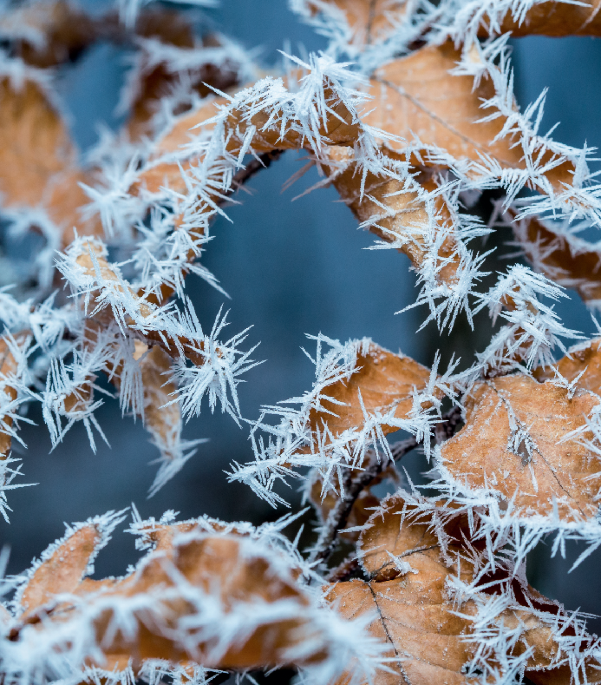 A chance for order at the interface | Nature Chemical Engineering