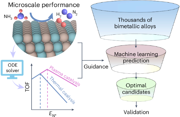 Interpretable machine learning-guided plasma catalysis for hydrogen ...