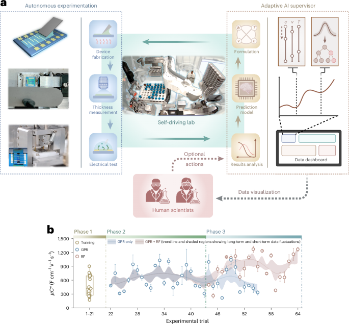 Electronic polymer discovery through adaptive AI-guided autonomous ...