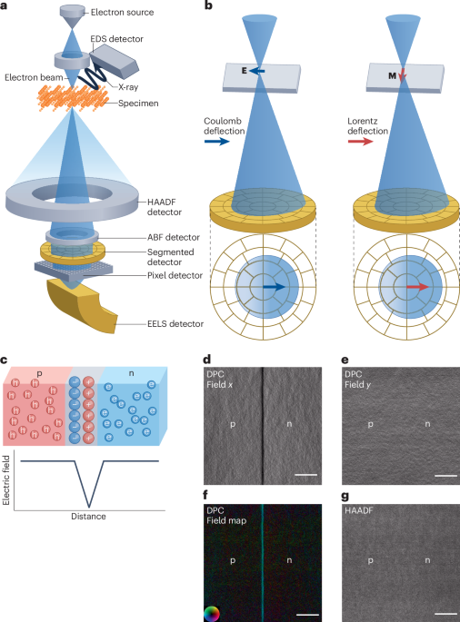 Nanoscale electromagnetic field imaging by advanced differential phase ...