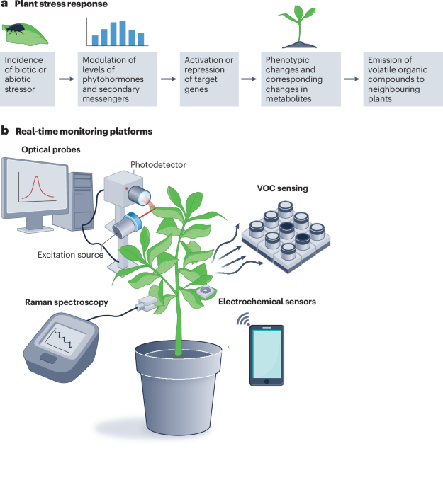 Accelerating adoption of species-agnostic plant sensors for precision ...