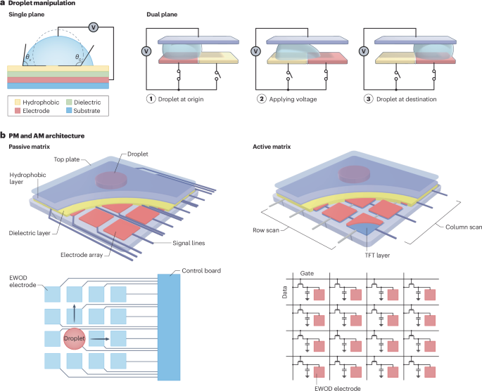 Active-matrix digital microfluidics for high-throughput, precise droplet handling | Nature ...