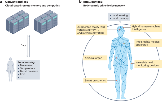 Organic electrochemical transistors for integrated sensing–memory ...
