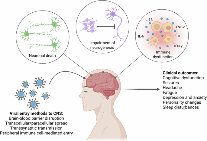 Virus Of Nervous System