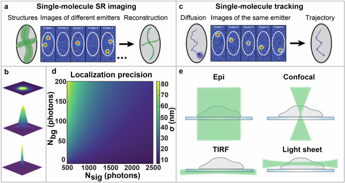 Light sheet illumination in single-molecule localization microscopy for imaging of cellular ...
