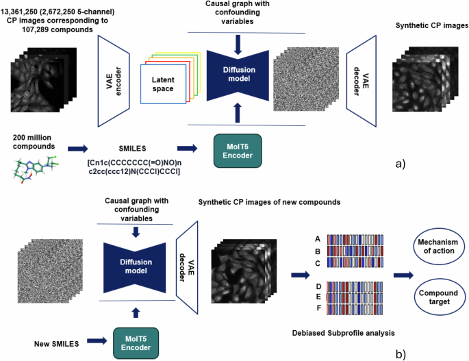 Confounder-aware foundation modeling for accurate phenotype profiling in cell imaging | npj Imaging