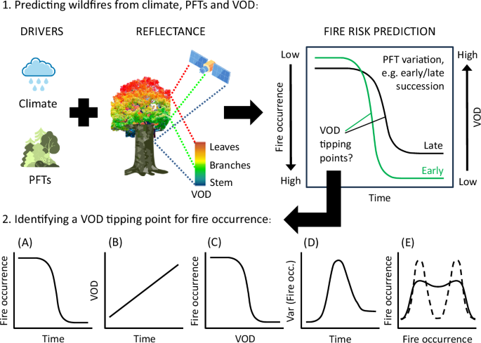 Why the world needs a wildfire risk prediction system based on plant ...