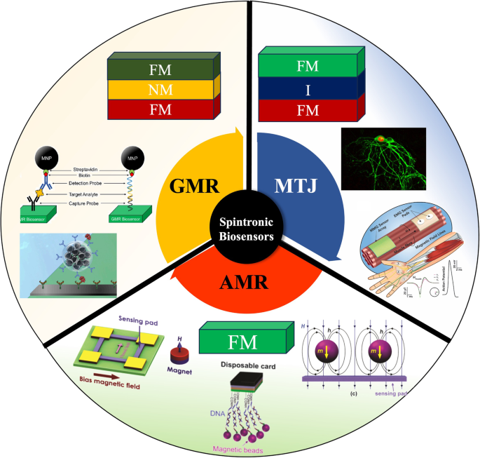 Spintronic devices for biomedical applications | npj Spintronics