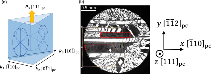 Sub-millimeter propagation of antiferromagnetic magnons via magnon ...