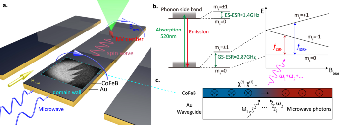 Wideband coherent microwave conversion via magnon nonlinearity in a ...