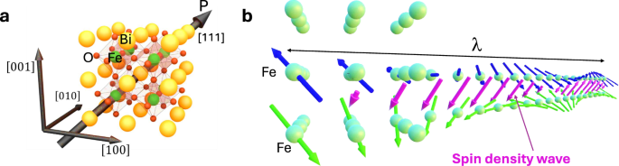 Magnon transport in multiferroic antiferromagnet | npj Spintronics