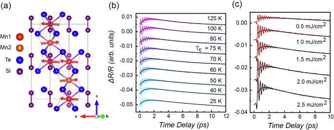 Dynamic signatures of spin-lattice coupling in the layered ferrimagnet ...
