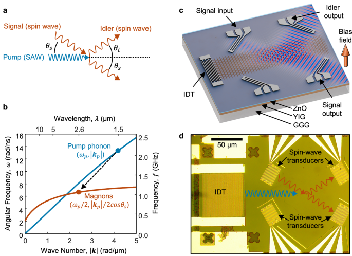 Sustained amplification of coherent spin waves by parametric pumping with surface acoustic waves ...