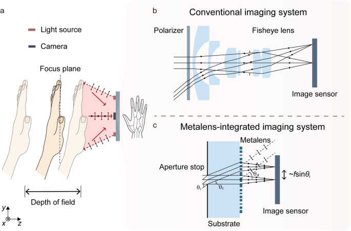 Palm vein imaging using a polarization-selective metalens with wide field-of-view and extended ...