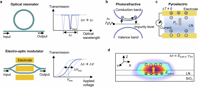 Photorefractive and pyroelectric photonic memory and long-term stability in thin-film lithium ...