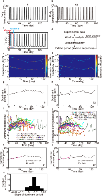 Frequency-modulated timer regulates torpor–arousal cycles during ...