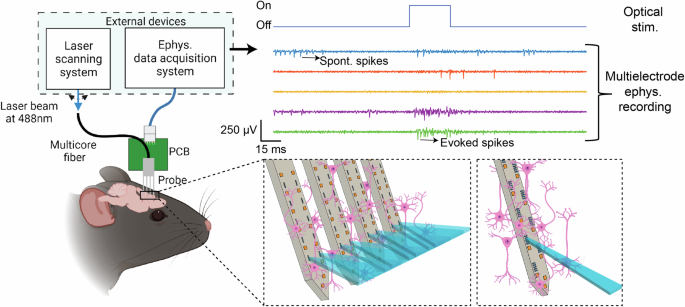 Implantable nanophotonic neural probes for integrated patterned ...