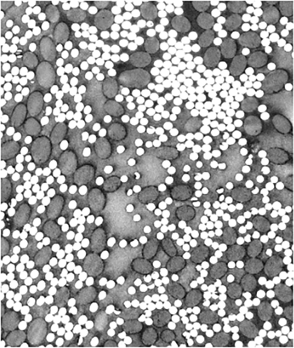 Multiscale cure process modeling of an advanced 3D-woven composite for ...