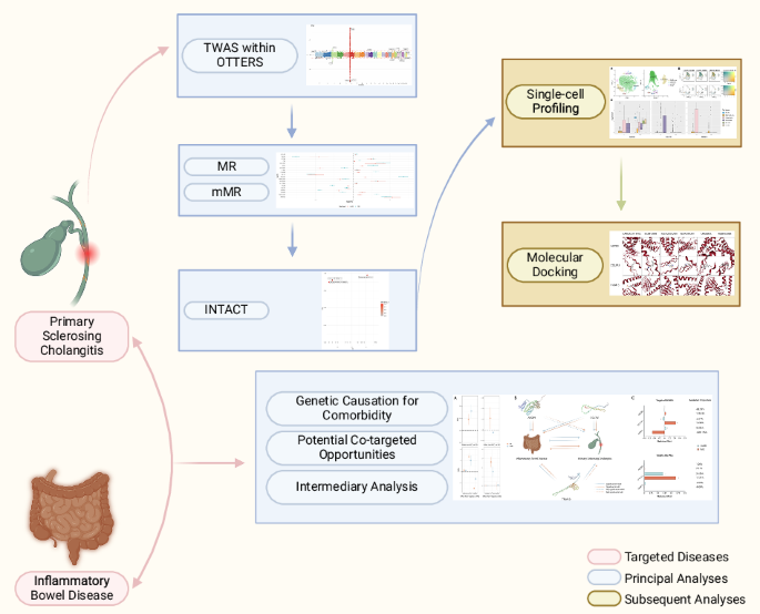 Integrative multi-omics and causal inference unveil novel therapeutic ...
