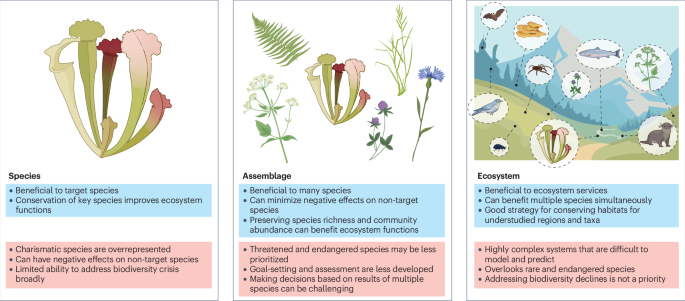 A case for assemblage-level conservation to address the biodiversity ...