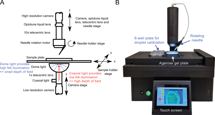 Automated microinjection for zebrafish xenograft models | npj Biomedical Innovations