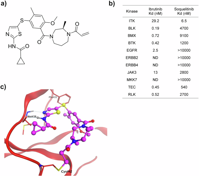 Synthesis and characterization of soquelitinib a selective ITK ...