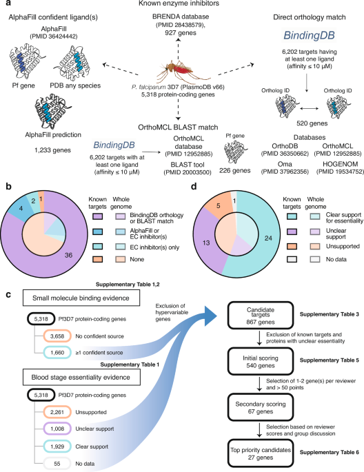 Revisiting the Plasmodium falciparum druggable genome using predicted ...