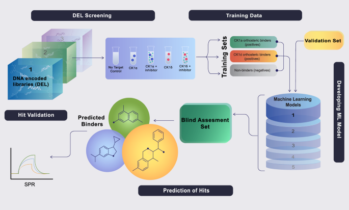 Evaluation of DNA encoded library and machine learning model combinations for hit discovery ...