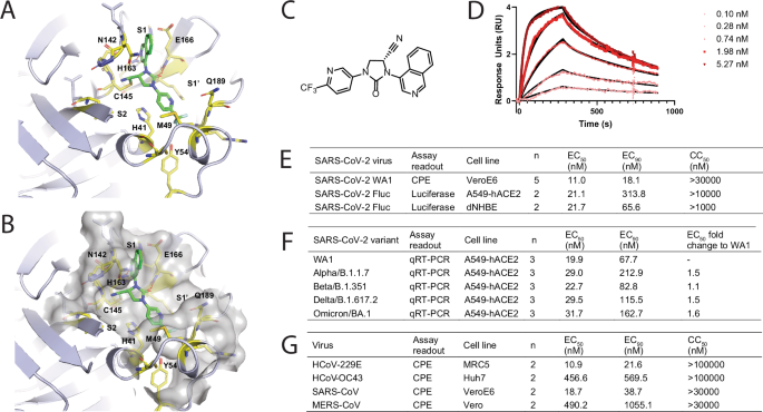Preclinical characterization of EGT710, an oral non-peptidomimetic ...
