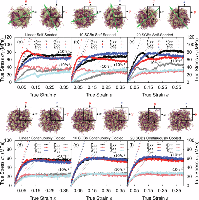 Branches, tie chains and entanglements in bimodal polyethylene single ...