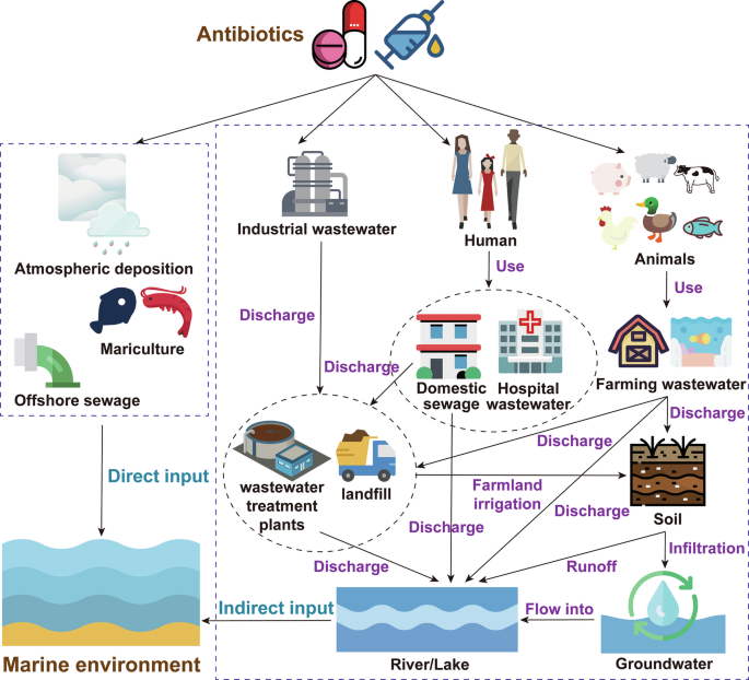 A systematic review of sources, occurrence, behavior and risks of ...