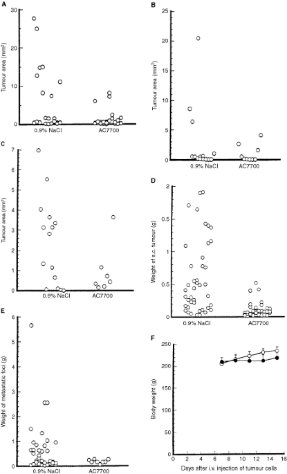 A novel combretastatin A-4 derivative, AC7700, strongly stanches tumour ...