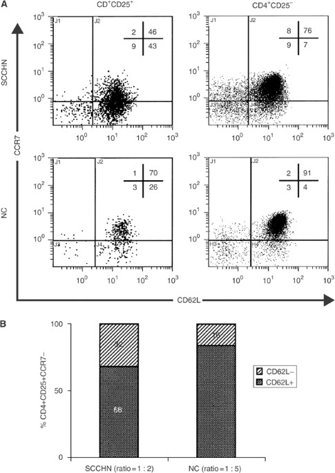 Characteristics of CD4+CD25+ regulatory T cells in the peripheral ...