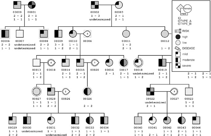 High-throughput pedigree drawing | European Journal of Human Genetics