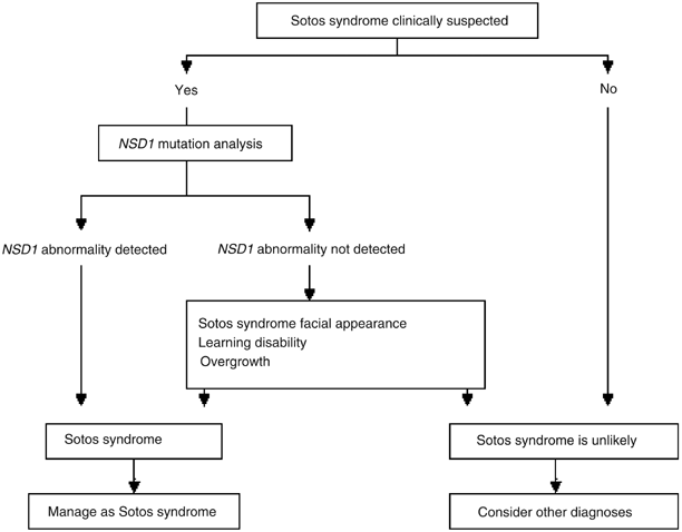Sotos syndrome | European Journal of Human Genetics
