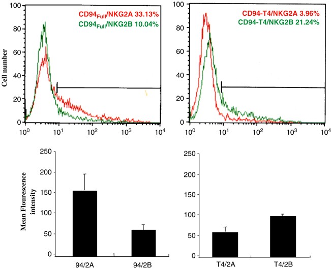 The human CD94 gene encodes multiple, expressible transcripts including ...
