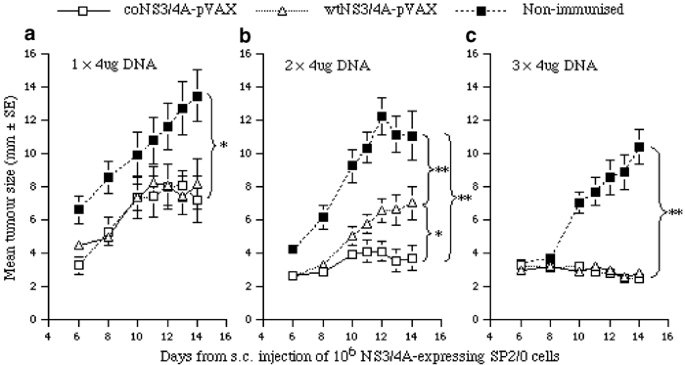 Codon optimization and mRNA amplification effectively enhances the ...