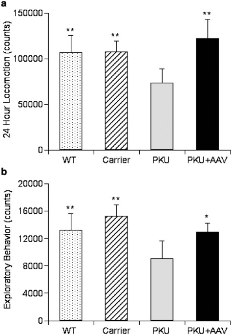 Long-term correction of hyperphenylalaninemia by AAV-mediated gene ...
