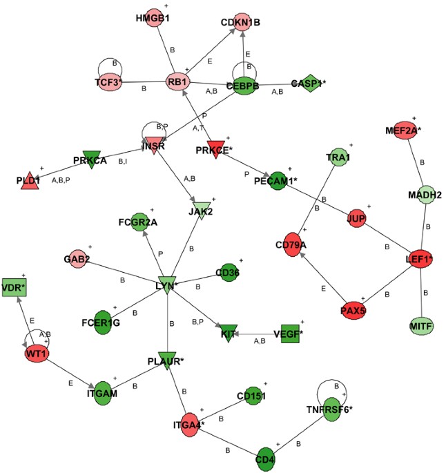 New insights into MLL gene rearranged acute leukemias using gene ...