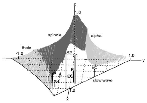 Neurophysical Modeling of Brain Dynamics | Neuropsychopharmacology