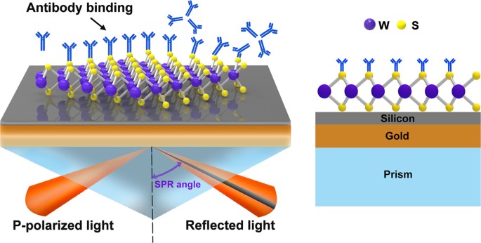 Sensitivity Enhancement of Transition Metal Dichalcogenides/Silicon Nanostructure-based Surface ...