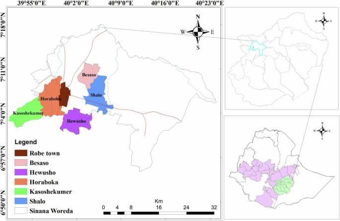 Household livelihood diversification and its determinant factors in ...