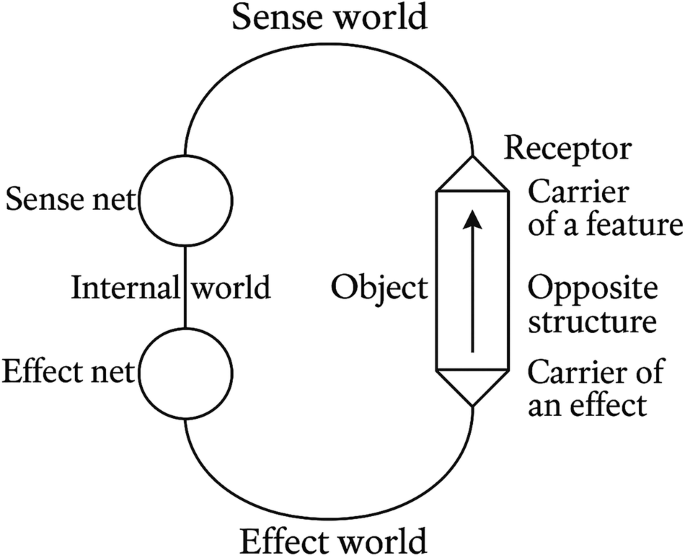 The technical milieu and its evolution: Uexküll, Kapp, Cassirer ...