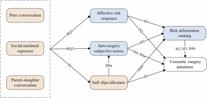 Self-objectification and the agency for risk information seeking in ...