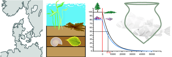 The freshwater reservoir effect in radiocarbon dating | npj Heritage ...