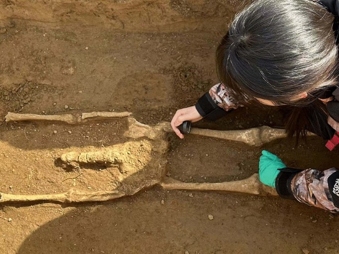 From the grave to the lab: evaluation of archaeological human bone ...